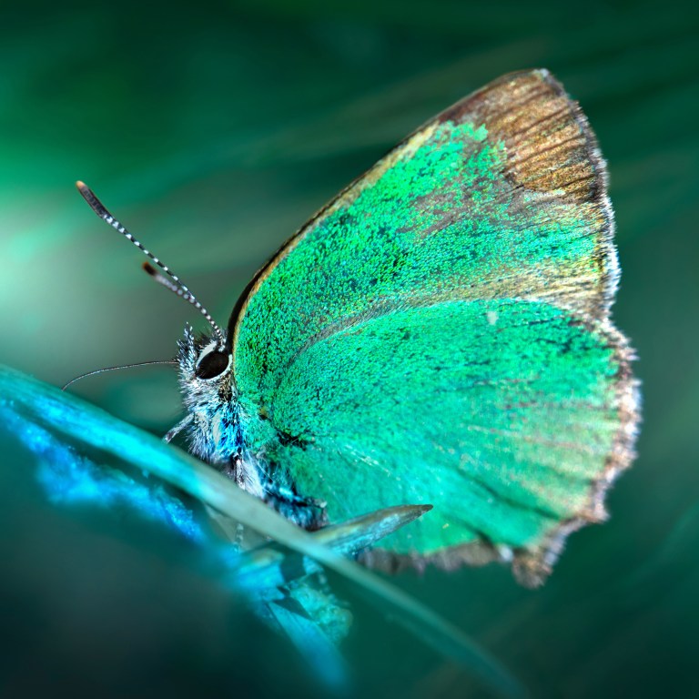 Colorimétrie 12 saisons : es-tu une femme Hiver Froid ? – The Color Fashionista