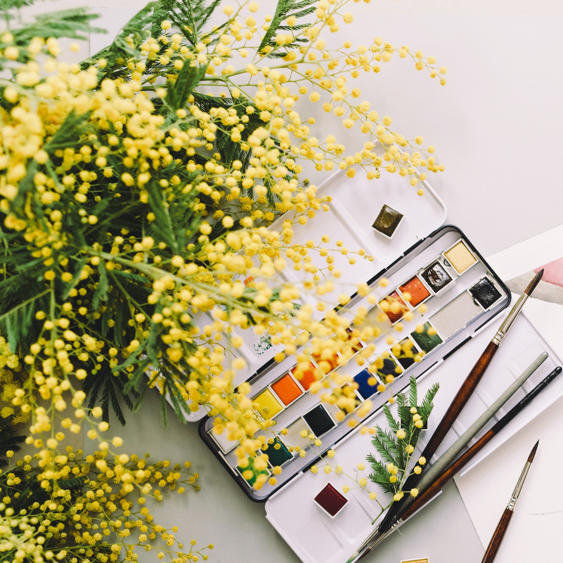 Colorimétrie 12 saisons : es-tu une femme Printemps Clair ? – The Color ...