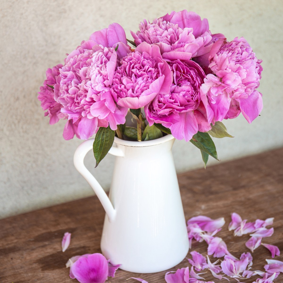 Colorimétrie 12 saisons : es-tu une femme Été Froid ? – The Color ...