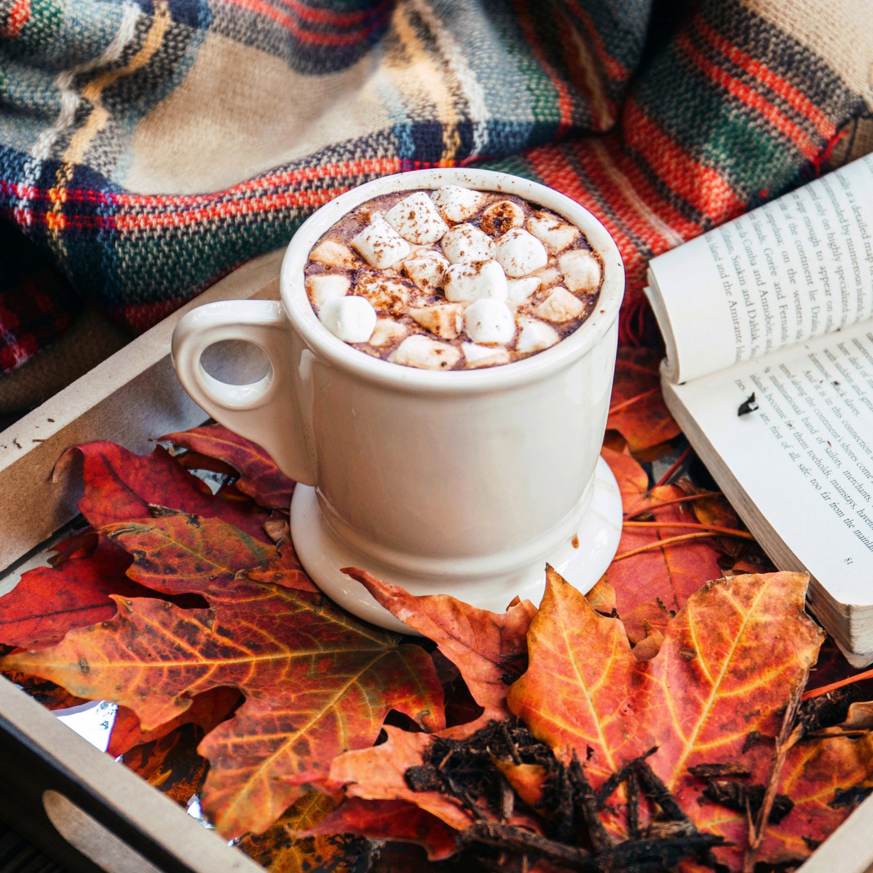 Colorimétrie 12 saisons : es-tu une femme Automne Chaud ? – The Color ...