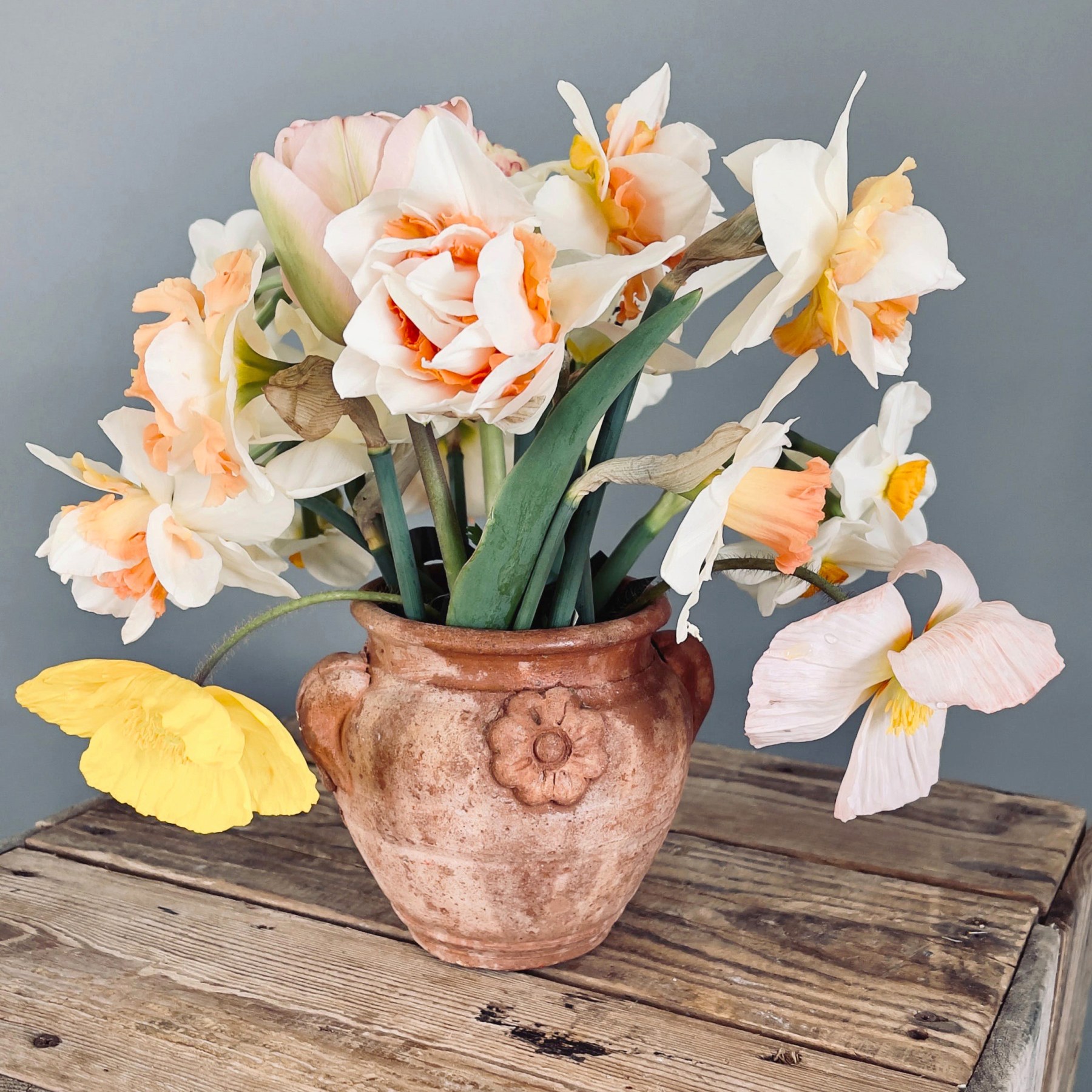 Colorimétrie 12 saisons : es-tu une femme Automne Doux ? – The Color ...