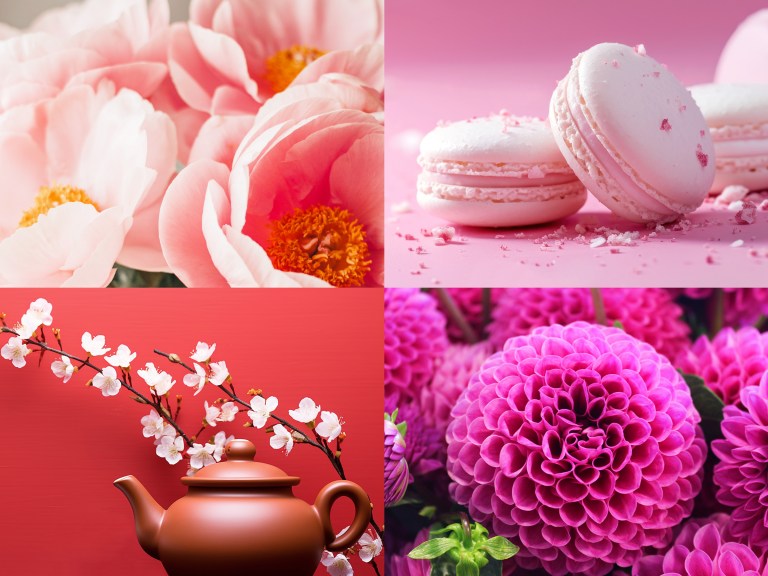 Quelles nuances de rose choisir pour sa saison ? – The Color Fashionista