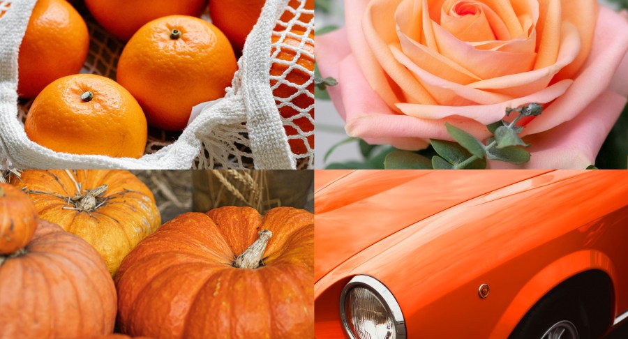 The Color Fashionista – CONSEIL EN IMAGE • COLORIMETRIE • SLOW FASHION ...