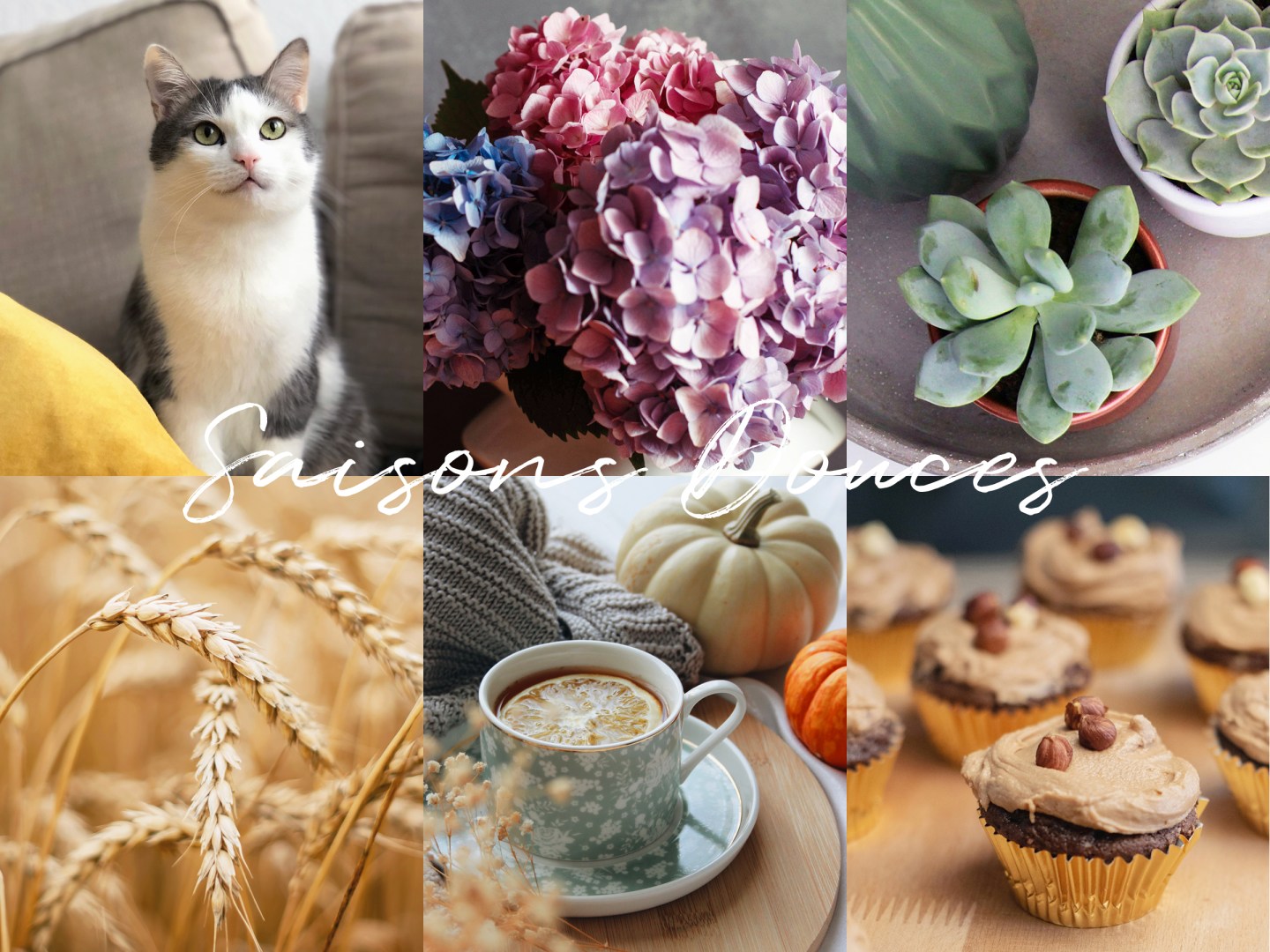 Méthode tonale : Été Doux vs Automne Doux – The Color Fashionista